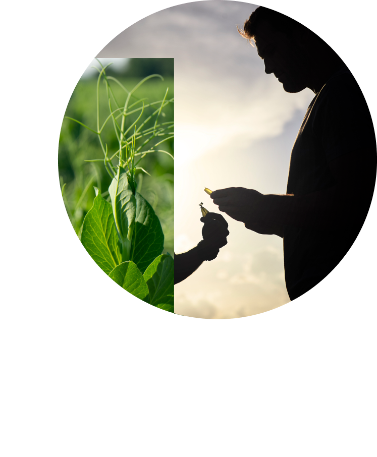 Sustainable Protein | PURIS