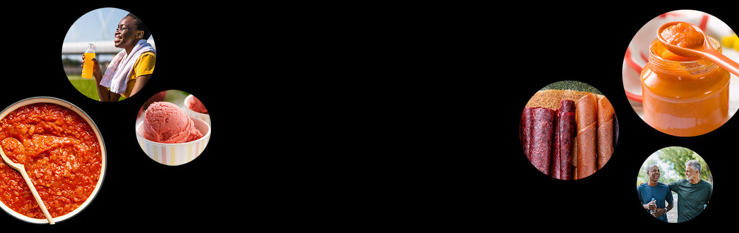 PURIS Pea Protein HiLo